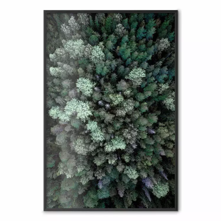 Poster decorativo Voo Sobre a Floresta - composição com árvores ...
