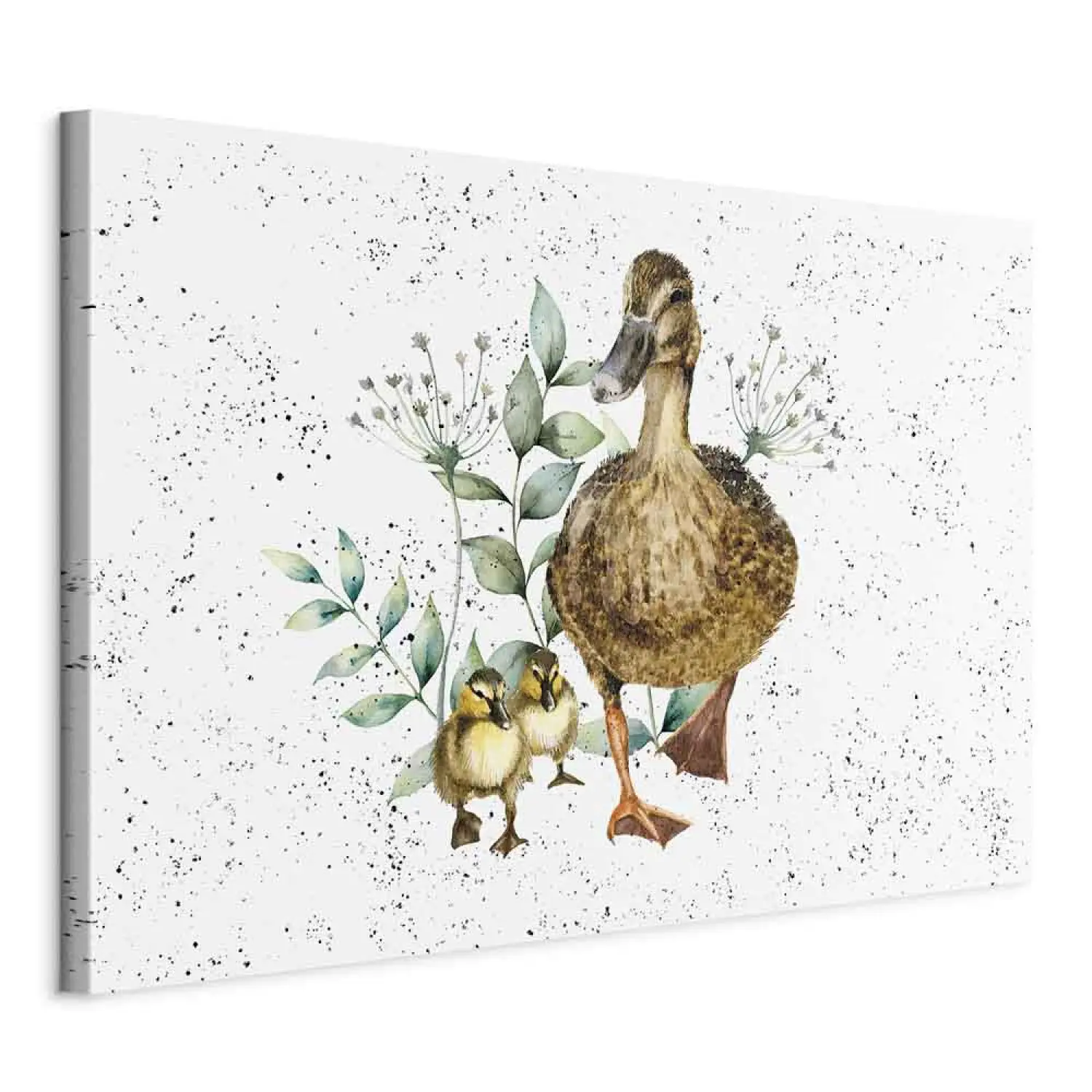 Pinturas De Patos Descarga Elegante Pintura De Pato Con Ojos Azules Y
