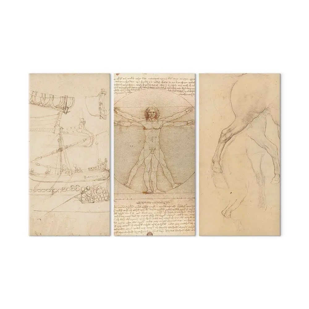 Quadro em tela Da Vinci's Drawings - technical sketches and anatomical ...