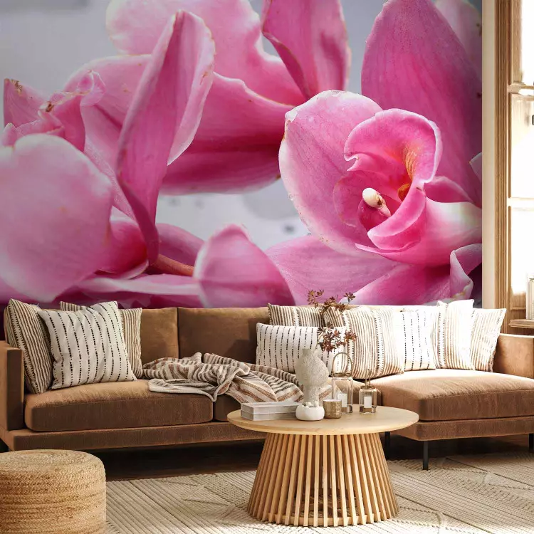 Imagens De Flores Zen